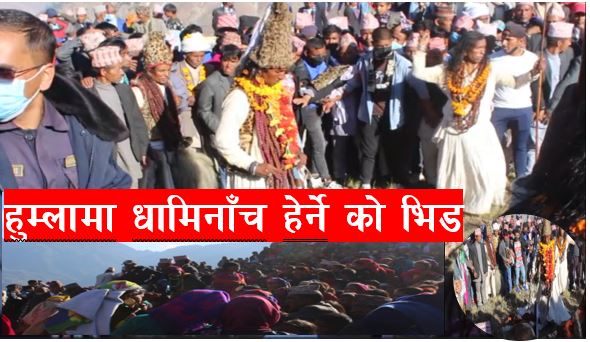 हुम्लामा धामिनाँच हेर्नेको घुईचो - कचहरी समाचारदाता :: Kachahari